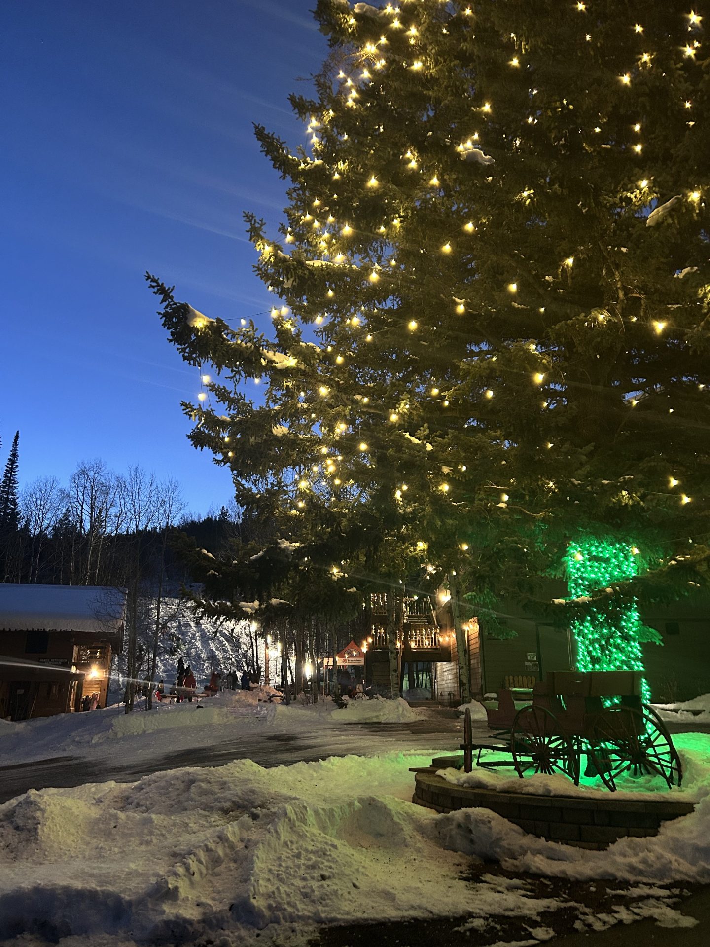 Winter Lighting Celebration: Trees, Merriment, and More - Steamboat ...